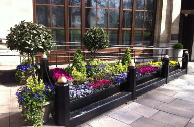 Award Winning Exterior Planting: Hanging Baskets, Windowboxes, Planted ...