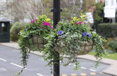 Award Winning Exterior Planting: Hanging Baskets, Windowboxes, Planted ...